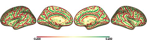 Visualization — Micapipe Documentation