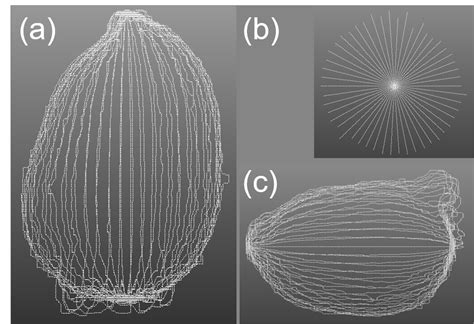 3d Reconstruction Method And Weight Estimation Model Yuto Kamiwaki