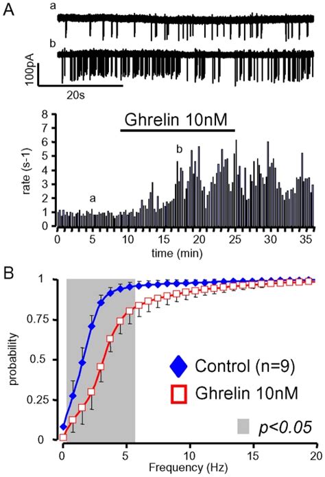 A Typical Experiment Where 10 Nm Ghrelin Increased The Firing Rate Of Download Scientific