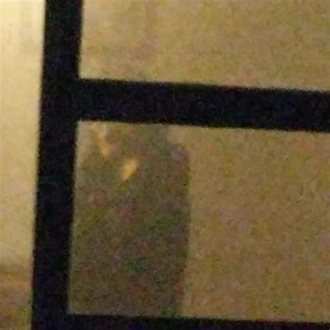 November 2018 Ash Vlogs Ikwsi Wiki Fandom