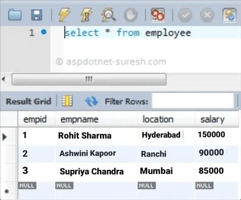 Read And Write Data From Mysql Database In Visual Basic Vbnet Codebun