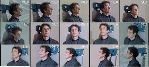 1 Multi Pie Dataset Pose Variations Download Scientific Diagram