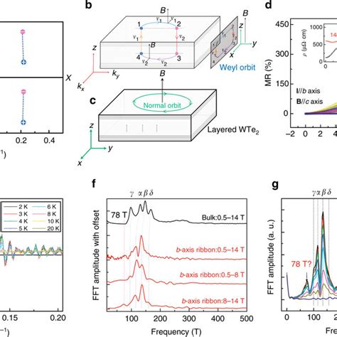 Pdf Evidence For Topological Type Ii Weyl Semimetal Wte2