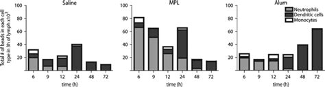 Different Waves Of Particulate Antigen Uptake By Innate Cells Over Time