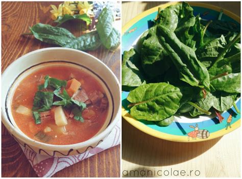 Ciorba De Vitel Cu Macris Ama Nicolae