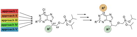 Synthesis Of C1 Branched Acyclic Nucleoside Phosphonates