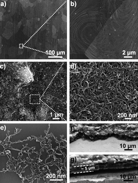 Sem Images In A And B Represent As Grown Single Layer Centimeter Download Scientific