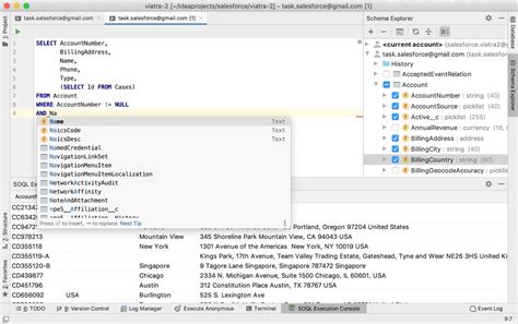 Salesforce Database Schema