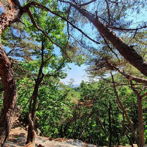 매일 플래너 쓰는 사람들 멀티태스킹은 어느 하나에도 집중하지 못하고 있다는 의미다 스마트폰을 보며