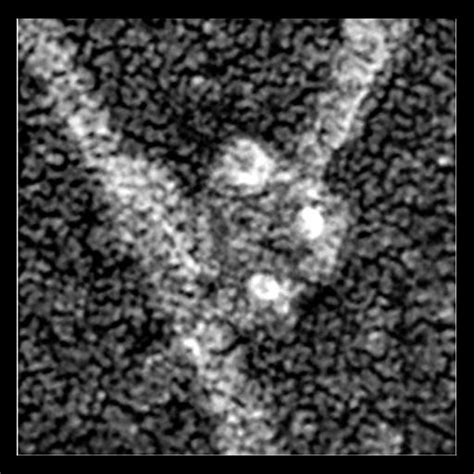 Cil34905 Cil Dataset