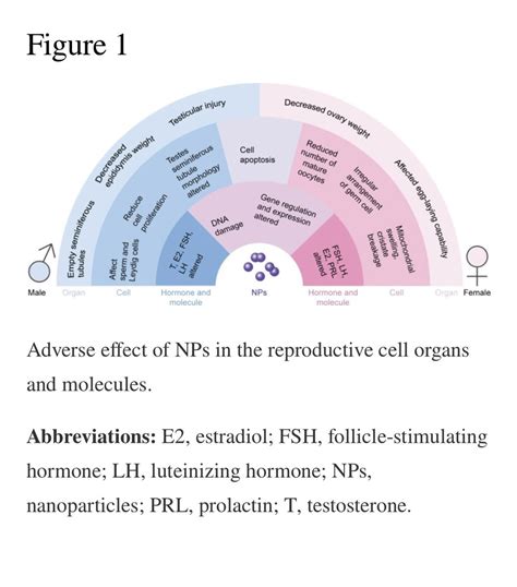 Dr Poppy Daniels On Twitter Unfortunately We Know That Nanoparticles Can Have Potential