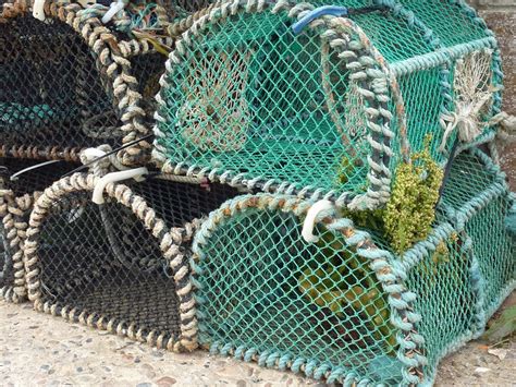 무료 이미지 바다 어업 자료 고리 크로 셰 뜨개질 직물 미술 그물 피셔 물고기 잡채 랍스타 바구니