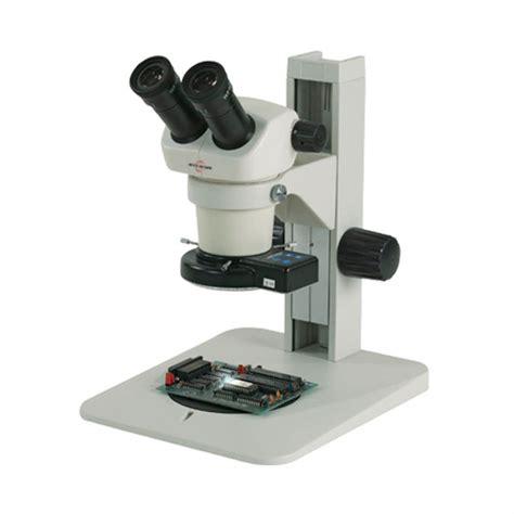 Accu Scope 3072 Stereo Microscope On Plain Focusing Stand Microscope Central