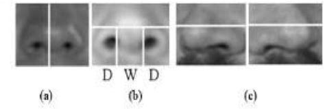 Figure 3 From Facial Parts Detection Using Viola Jones Algorithm