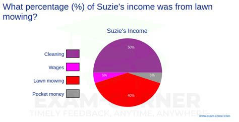 Pie Charts Exam Corner