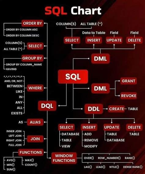 Ddl Databasemanagementddl Dml Datamanipulationdml Dql