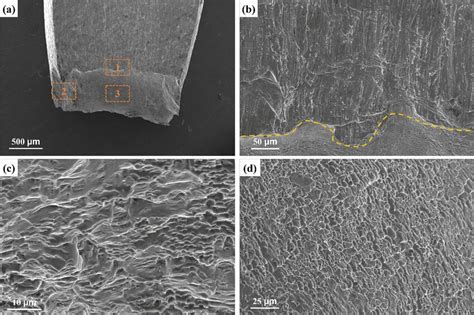 Shows The Typical Fracture Surface And Cross Section Images A Low