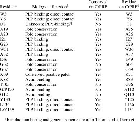 Conservation Of Structural And Functional Residues Shown To Be