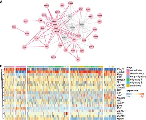 Whole Genome Analysis Of Noncoding Genetic Variations Identifies Multiscale Regulatory Element