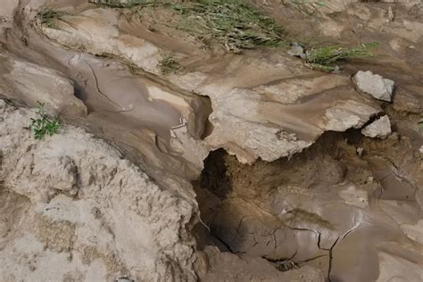 Unveiling The Different Soil Profiles Erizon