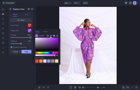 Learn The Basics Of Removing And Replacing Elements In Befunkys Photo