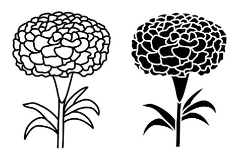 줄기와 잎이 있는 금잔화 꽃 클립 아트 일러스트레이션 윤곽선과 실루엣 스탬프가 투명 배경에 0명에 대한 스톡 벡터 아트 및 기타 이미지 0명 개화기 관상용 식물