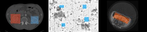 Training Yolov3 Models For Object Detection