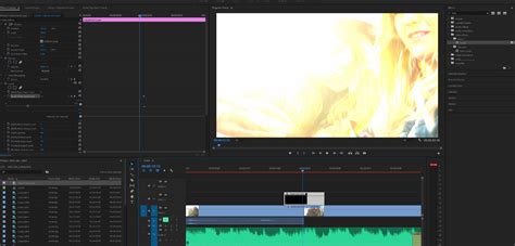 adding beginning keyframe negates adjustment layer adobe product