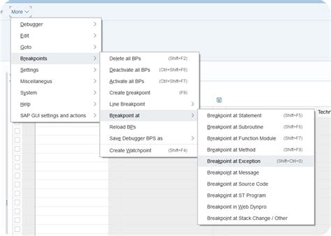 SAP ABAP Debugger Guide SAP Training And Coaching