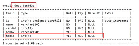 mysql数据库增删改查（基础操作命令详解） mysql基础命令增删查改 csdn博客