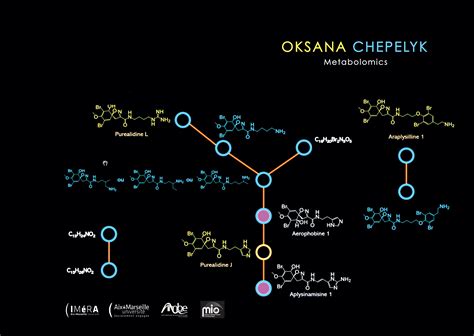 Metabolomics Ecodata Of Biodiversity As Biomarkers Of Environmental