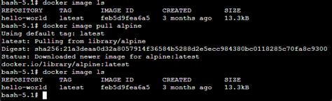 Persist Docker Images Through Multiple Docker Dind Containers Issue