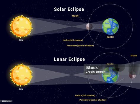 Science Eclipses Chart Clipart Solar Eclipse And Lunar Eclipse Clip Art Infographic Of Sun Moon