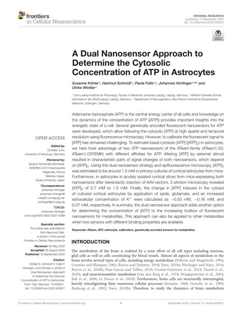 Pdf A Dual Nanosensor Approach To Determine The Cytosolic Concentration Of Atp In Astrocytes