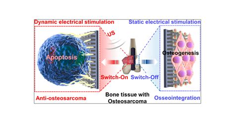 One Dimensional Ferroelectric Nanoarrays With Wireless Switchable