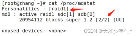 Centos7如何做raid Raid的功能介绍？最详细教程来啦！centos Raid Csdn博客
