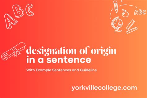 How To Use Designation Of Origin In A Sentence Easy Examples