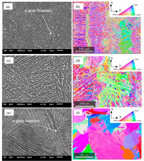 Ace Secondary Electron Images And Bdf Ebsd Orientation Maps Of