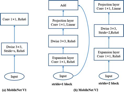The Architectures Of Mobilenetv1 And Mobilenetv2 Download Scientific