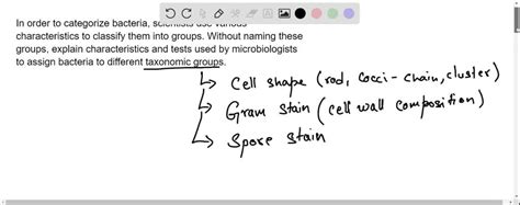 Solved The Lancefield Group Classification System Is Used To Classify Solved The Lancefield Group Classification System Is Used To Classify