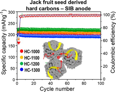 Intrinsically Nitrogen Enriched Biomass Derived Hard Carbon With