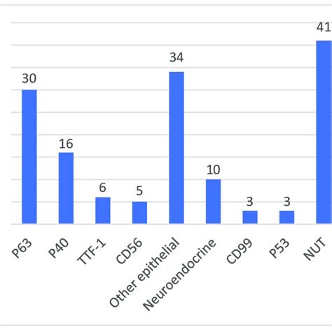 The Mainly Positive Signals Of Ihc Download Scientific Diagram