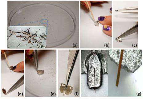 Figure 1 From Magnetic Dielectric Cantilevers For Atomic Force Microscopy Semantic Scholar