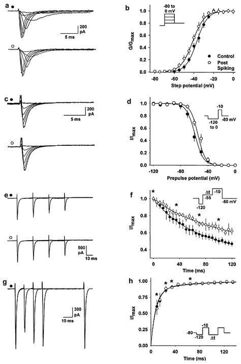 Enhancement Of Presynaptic Neuronal Excitability By Correlated Presynaptic And Postsynaptic