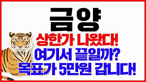 금양 주가전망 금양 상한가 나왔다 여기서 끝일까 목표가 5만원 갑니다ㅣ금양 금양주가전망 금양주가 금양주식 금양리튬 금양콩고 금양전망 금양분석 권프로 Youtube