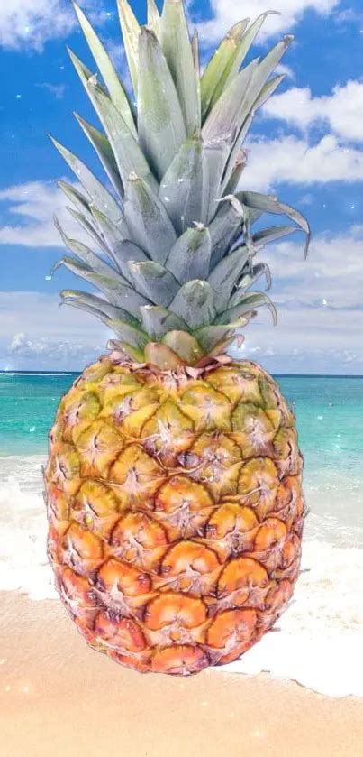 Tropical Pineapple Beach Wallpaper Free Download