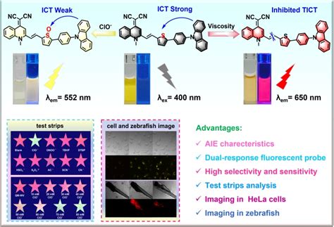 科研速递2025 029：蒲守智教授、刘刚教授团队在《spectrochim Acta A》发表近红外荧光探针研究新成果 江西科技师范大学 化学化工学院