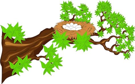 Premium Vector Nest On Branch With Eggs