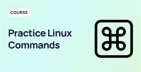mastering linux essentials must know commands for success 🚀