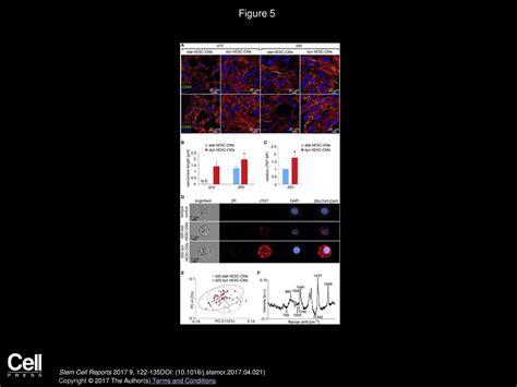 Volume Issue Pages July Ppt Download